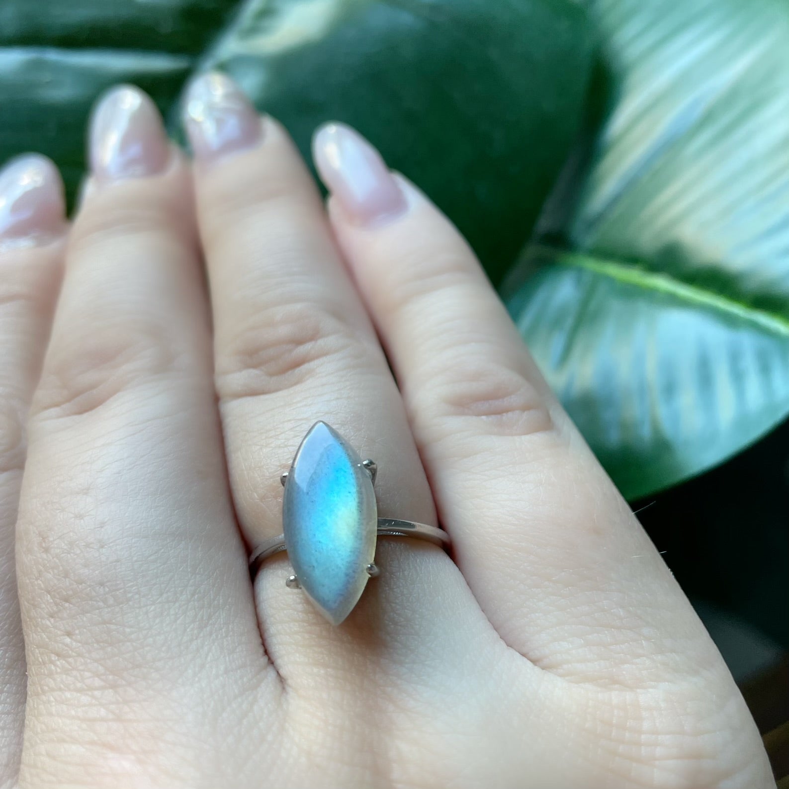 RINGS – Castle Gems